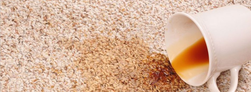 Life Is Messy | Young Carpet Cleaning